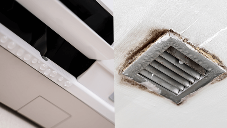 Combat Florida Humidity: Improve Your AC's Efficiency